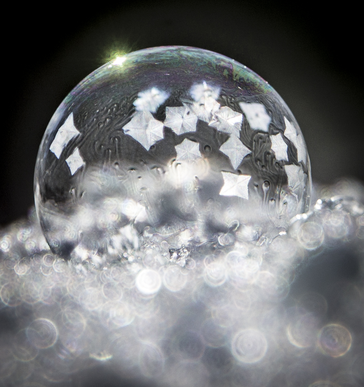 Frozen Photography - Capture the MomentCapture the Moment