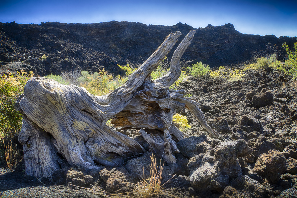Oregon Caves, Lava Lands and Crater Lake - Capture the MomentCapture ...