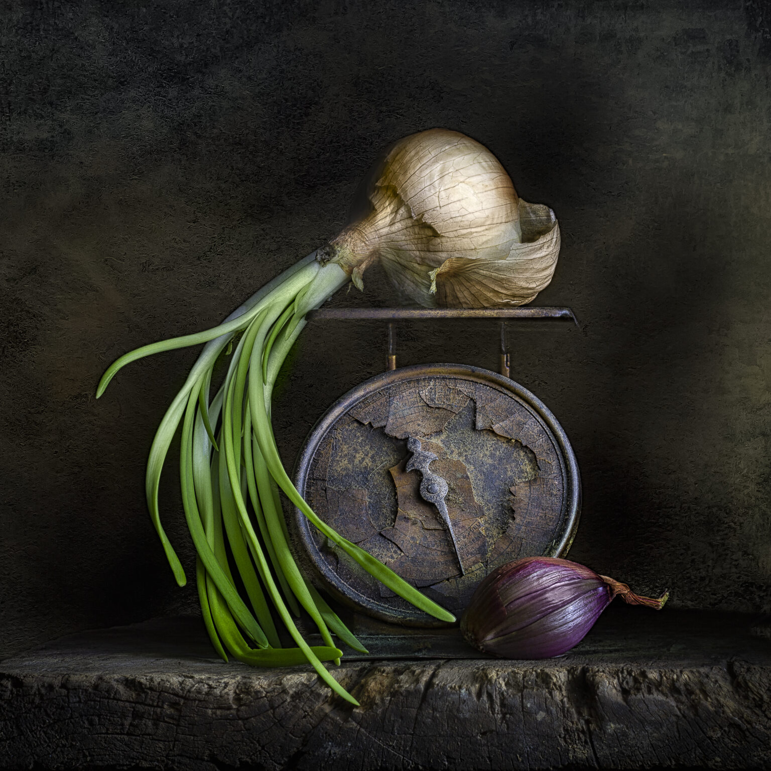 Photo Recognitions - Betsy Wilson - Capture the MomentCapture the Moment